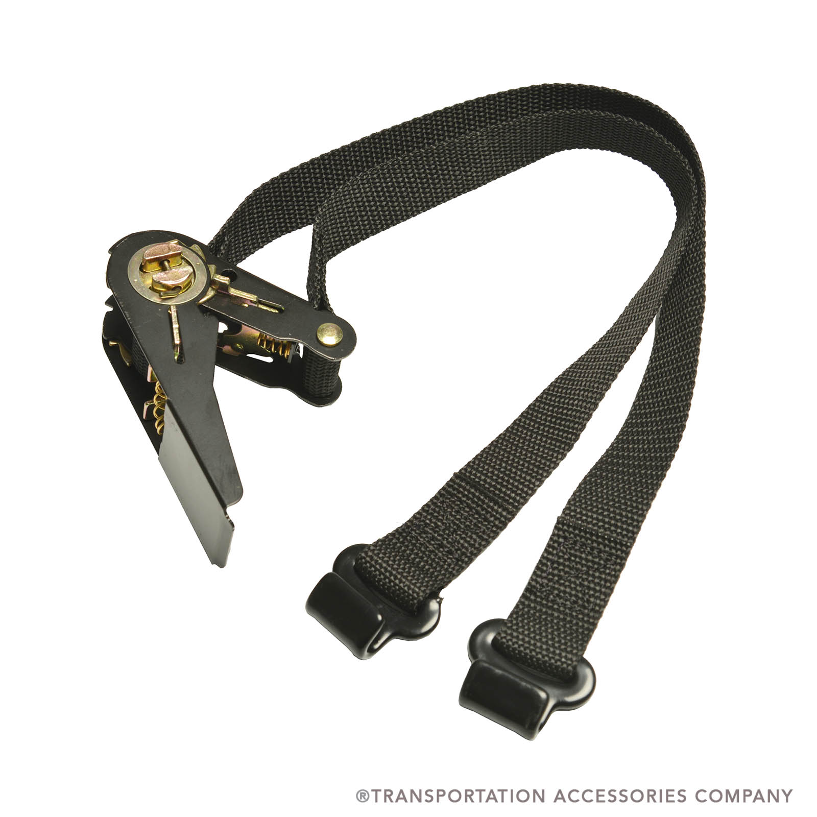 10034542 Blue Bird Battery Strap